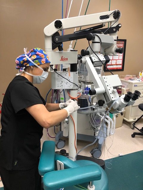 Roxy - Pacific Surgery Center